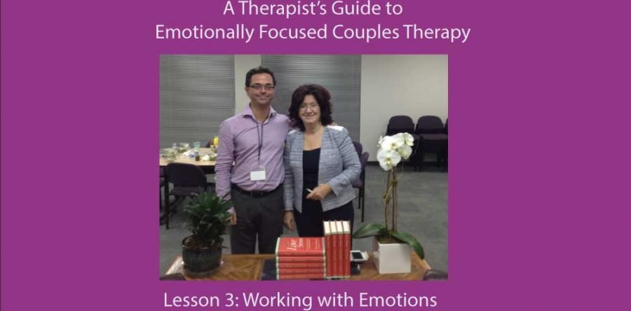 A Therapist's Guide to Emotionally Focused Couples Therapy: Working ...