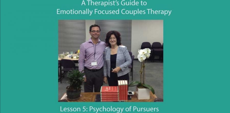 A Therapist's Guide to Emotionally Focused Couples Therapy: The ...